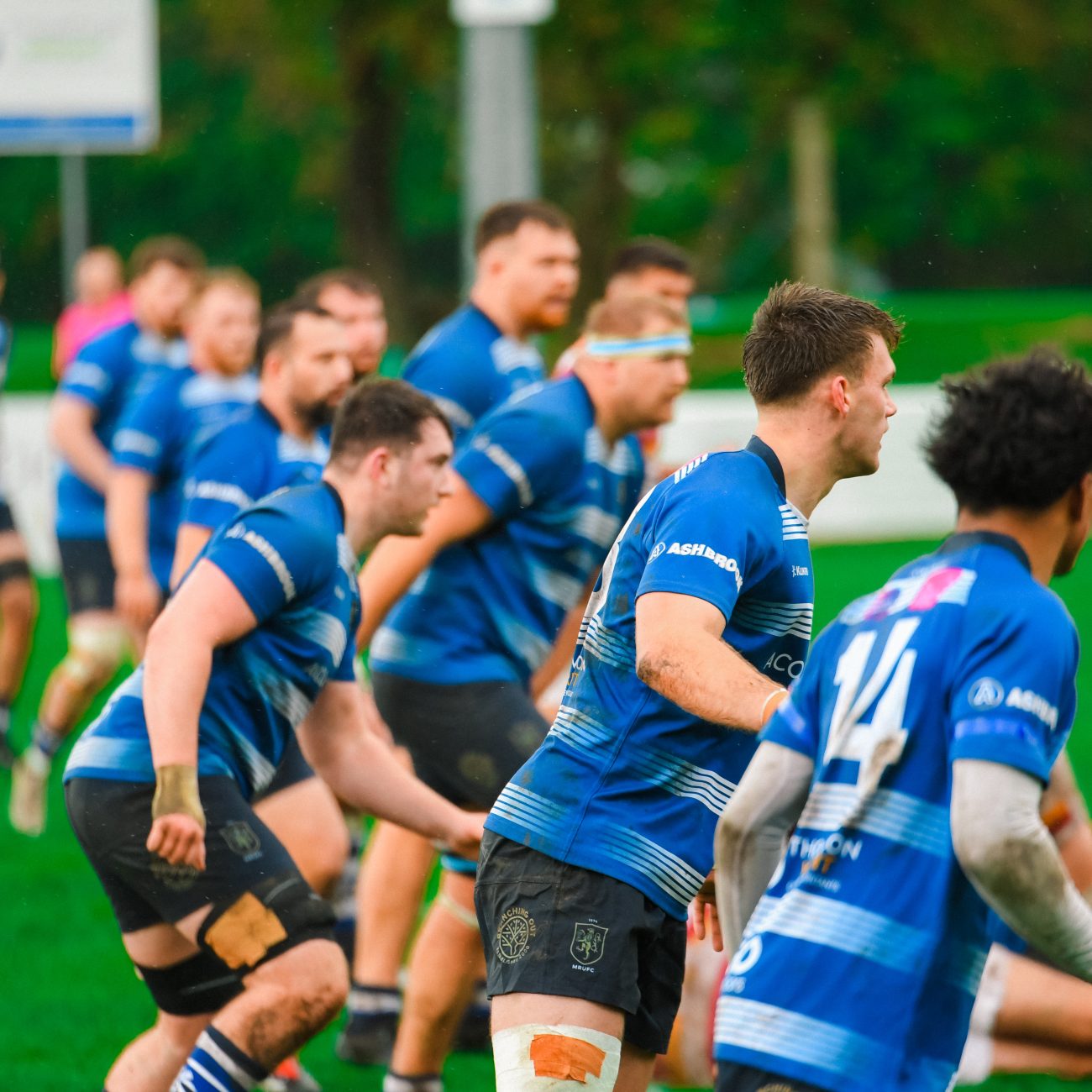 NCA Rugby – National League Rugby